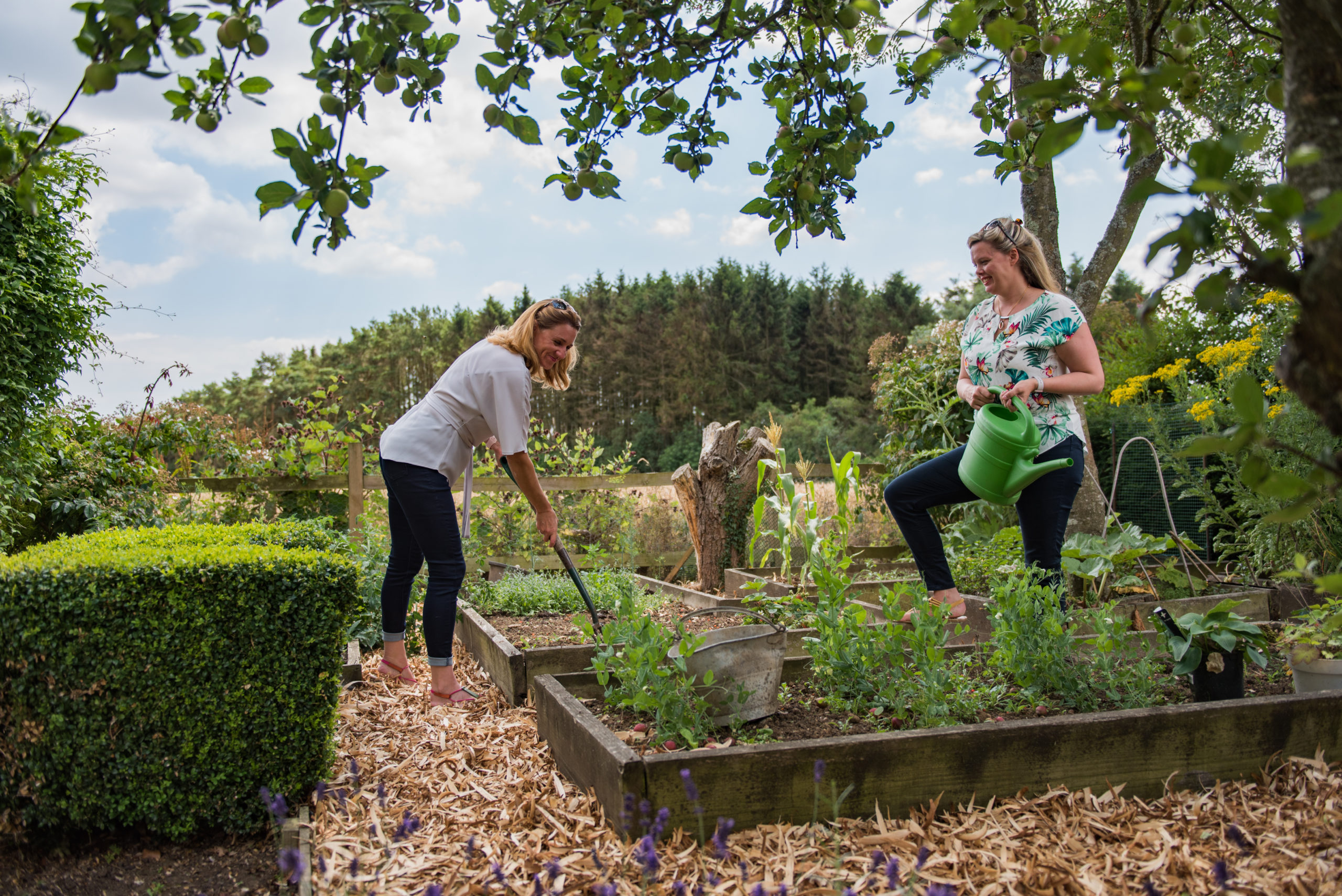 A helping hand with the Queen’s Green Canopy | Bloom Stays